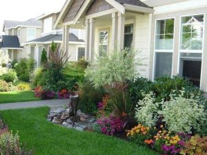 Best Shrubs to Plant in Front of House - Garden Curb Appeal